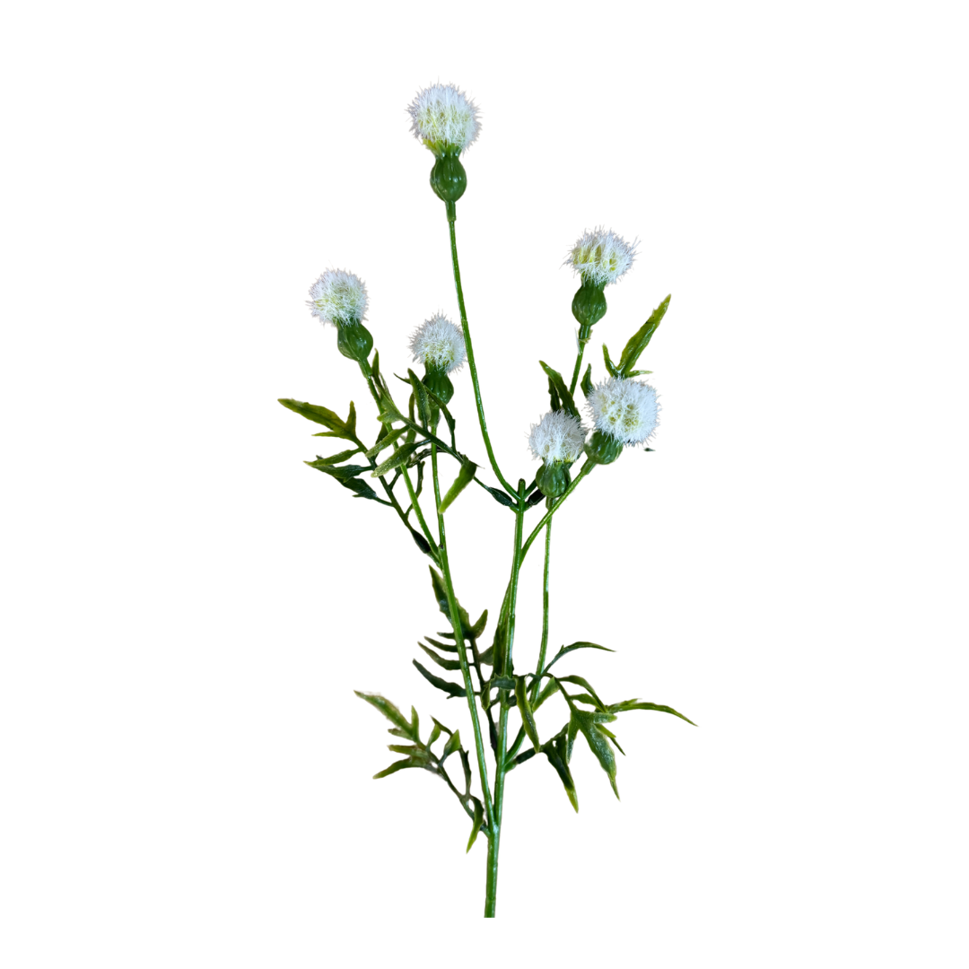 2834X 30" Dandelion Spray - R – Leggs Manufacturing